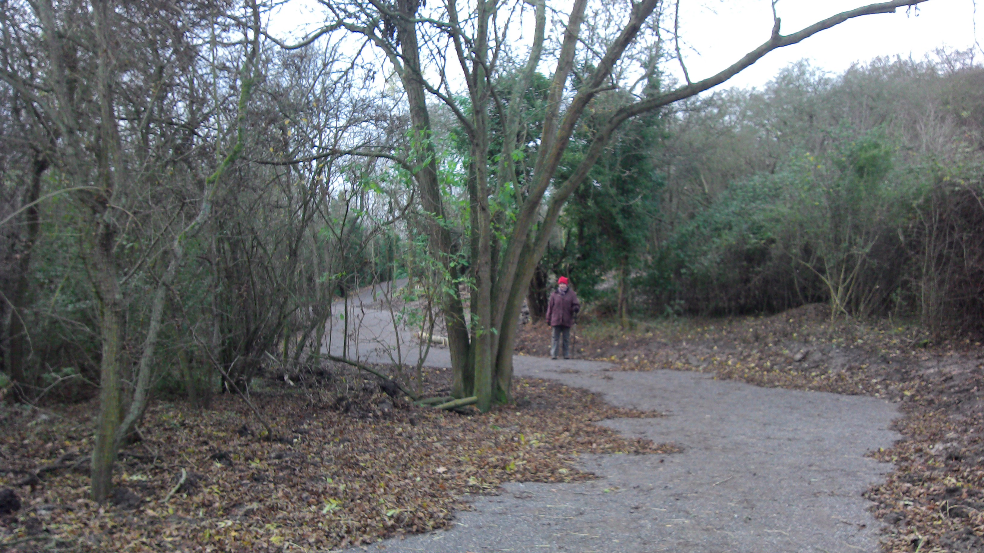 Olympic Legacy On The Downs | The Olympics | Benfleet Community Archive