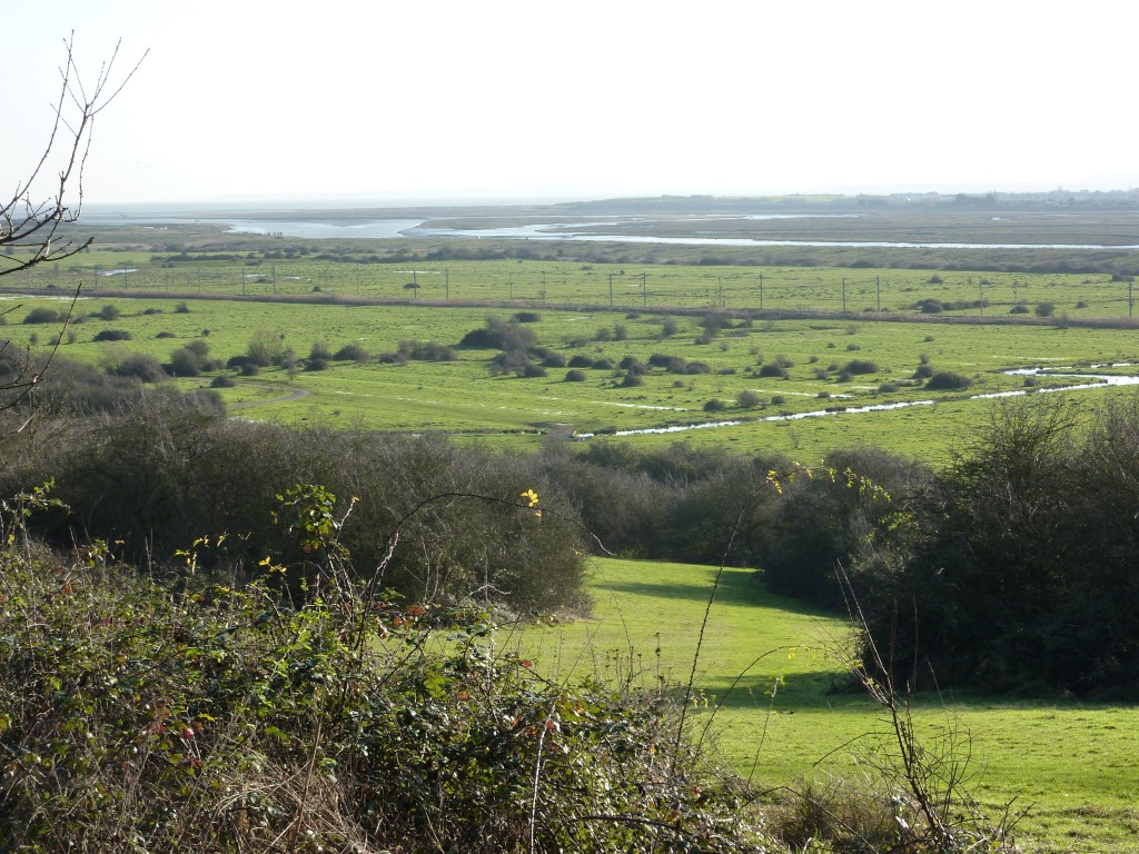 'One of the Finest Walks in Essex' | The Downs | Benfleet Community Archive
