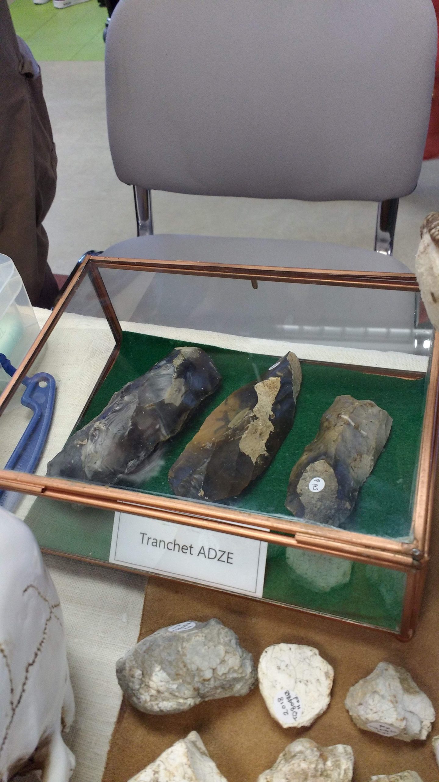 Finds at Hadleigh Farm | The Downs | Benfleet Community Archive