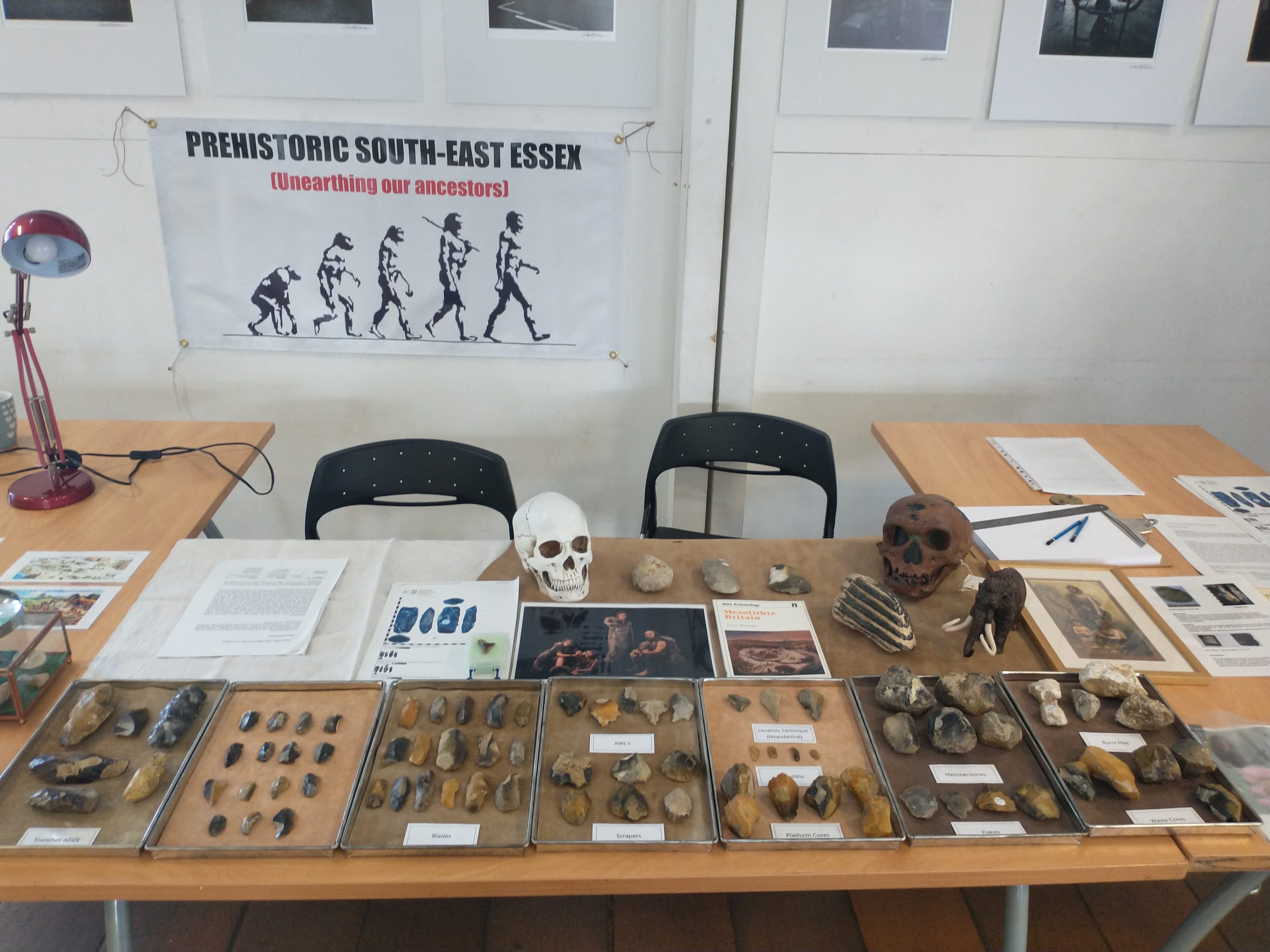 Finds at Hadleigh Farm | The Downs | Benfleet Community Archive