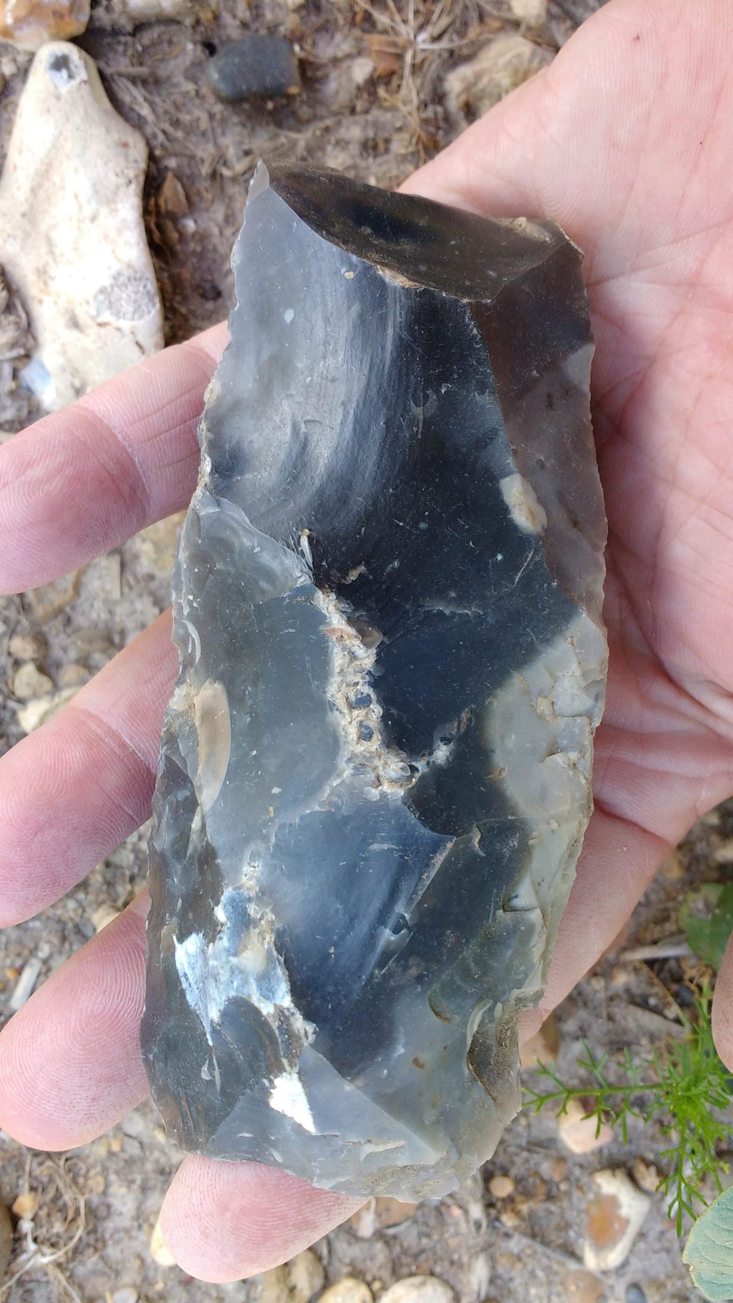 Finds at Hadleigh Farm | The Downs | Benfleet Community Archive