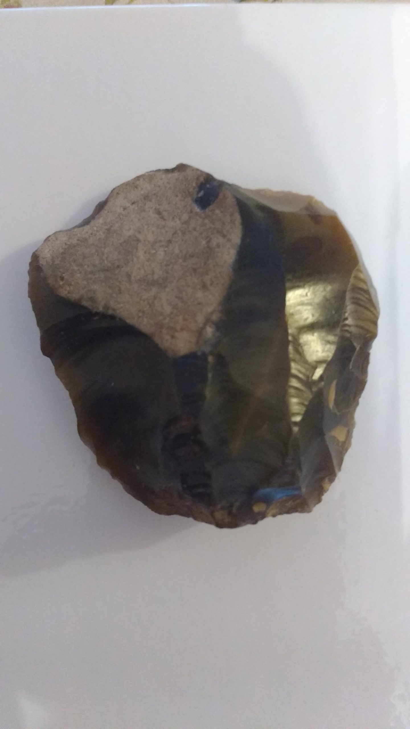 Finds at Hadleigh Farm | The Downs | Benfleet Community Archive