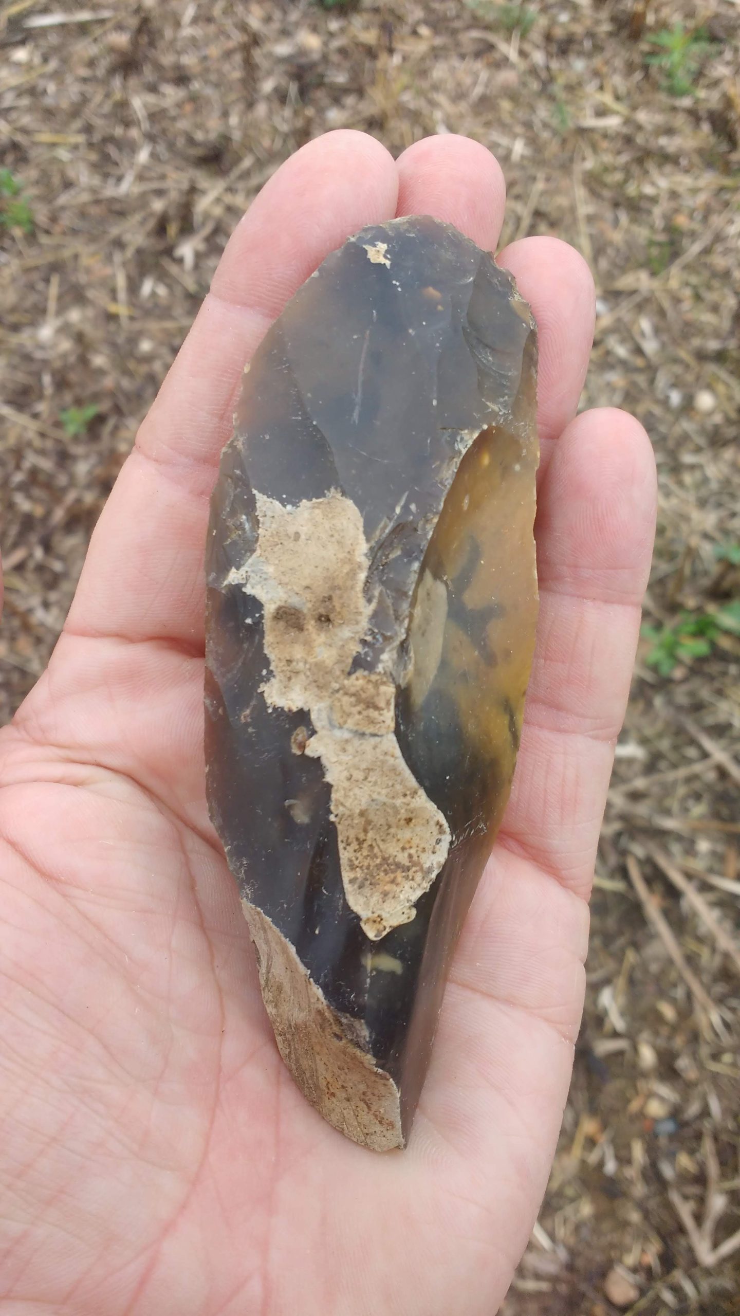 Finds at Hadleigh Farm | The Downs | Benfleet Community Archive