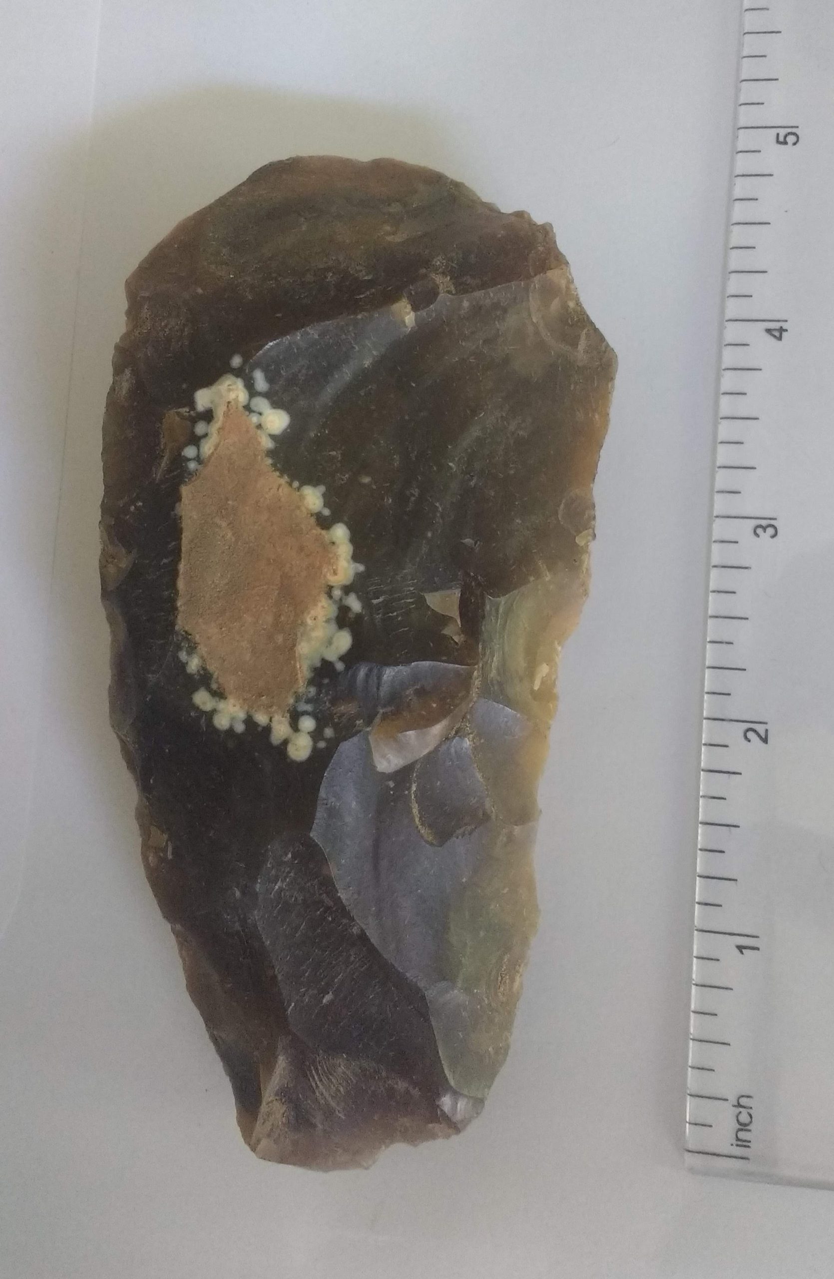 Finds at Hadleigh Farm | The Downs | Benfleet Community Archive