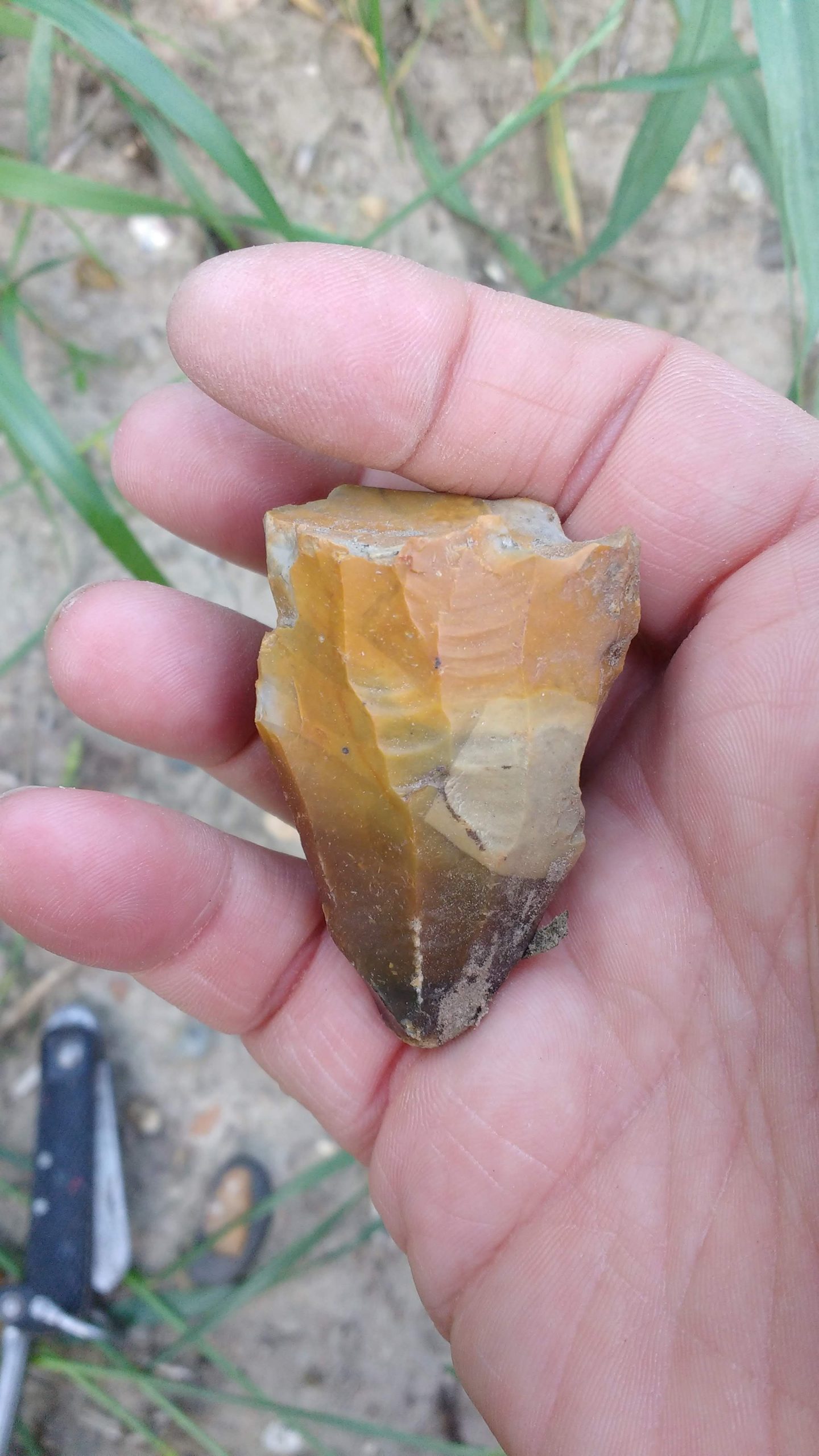 Finds at Hadleigh Farm | The Downs | Benfleet Community Archive