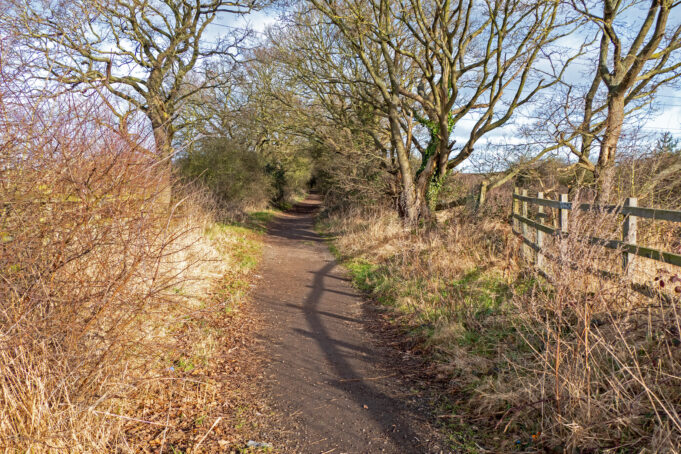 Mikey Woodhouse and (the late) Roger Shinn, Walk: Rushbottom Lane to ...